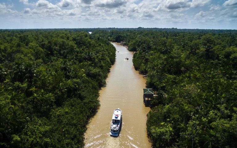 Razões para Aproveitar um Cruzeiro no Rio Amazonas no Brasil em 2025